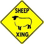 Sheep Xing — Yield Sign – Krazy Signs